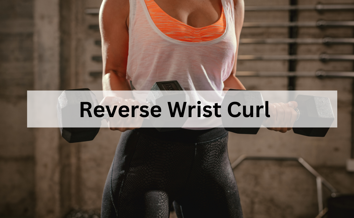 Reverse Wrist Curl: ท่าเพิ่มความแข็งแรงให้ปลายแขนอย่างมีประสิทธิภาพ