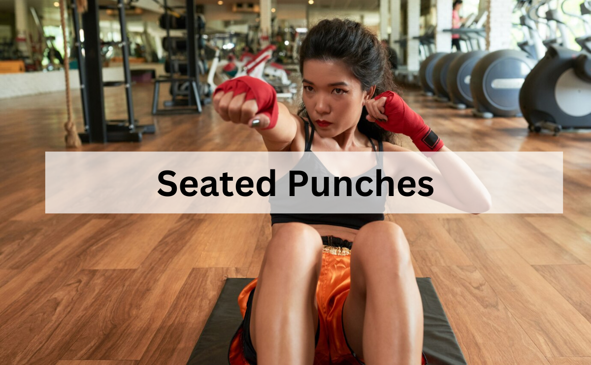 Seated Punches: เพิ่มพลังหมัดและความคล่องตัวในท่านั่ง
