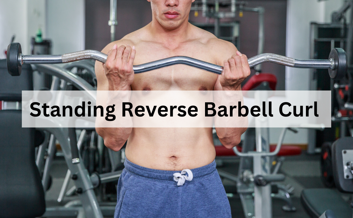 Standing Reverse Barbell Curl: เสริมสร้างกล้ามเนื้อแขนและปลายแขนให้ ...
