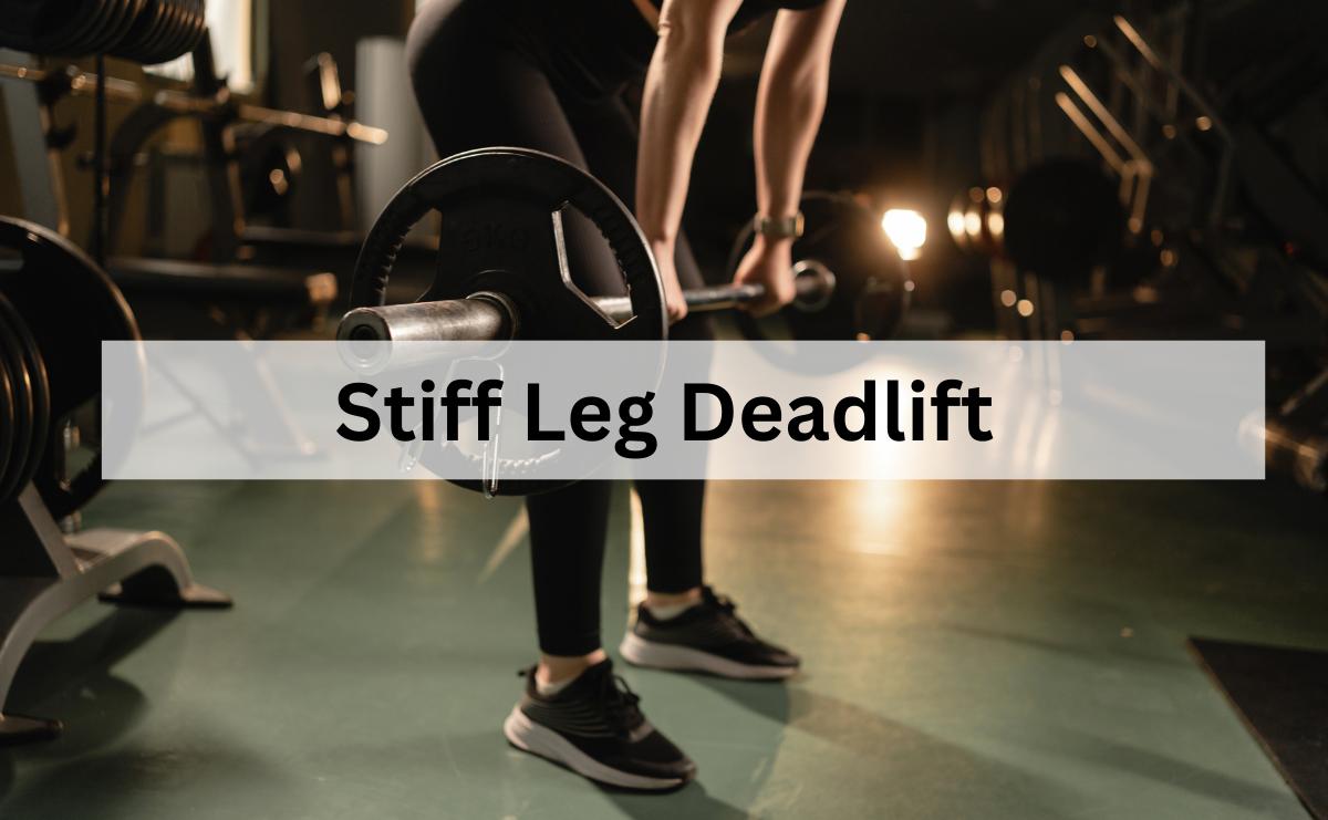 Stiff Leg Deadlift: เสริมสร้างความแข็งแรงของกล้ามเนื้อหลังขาและหลังส่วนล่าง - Homefittools