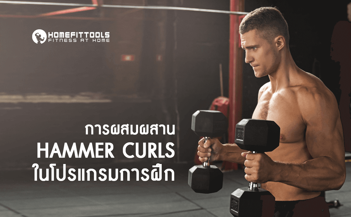 Hammer Curls สร้างกล้ามเนื้อ Biceps และ Forearms ที่แข็งแรง