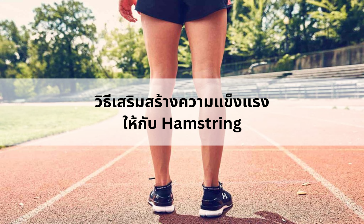 Hamstring คือ อะไร? ทำความรู้จักกล้ามเนื้อสำคัญที่คุณมองข้าม